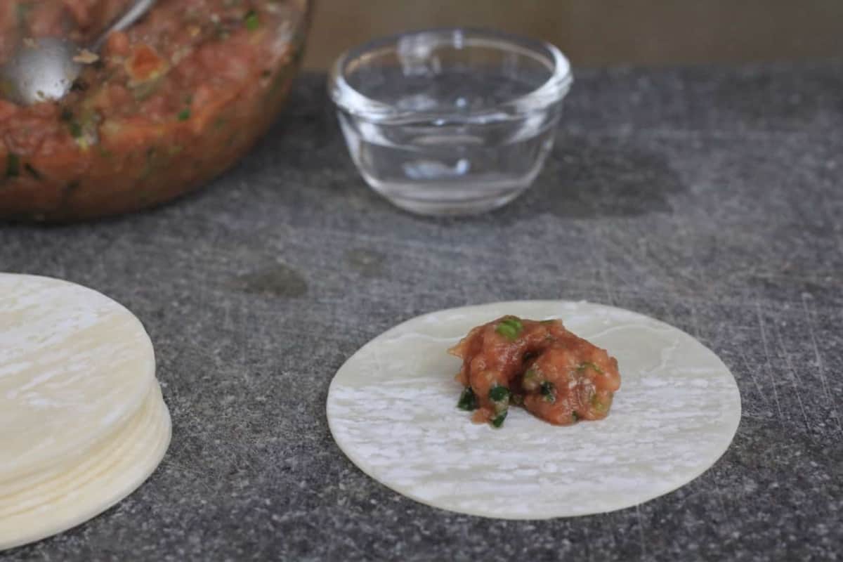 Pork Gyoza
