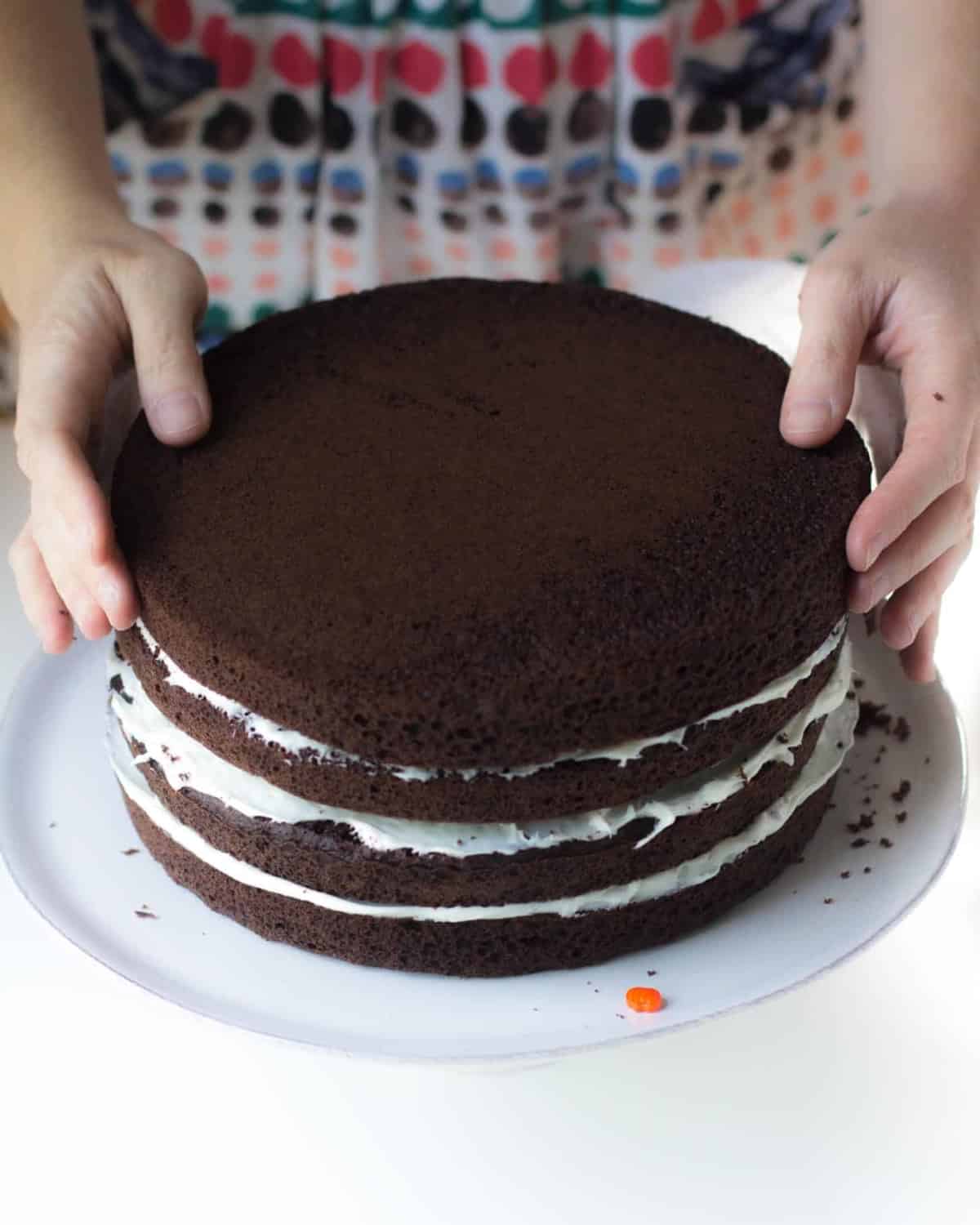 How to Make a Piñata Cake