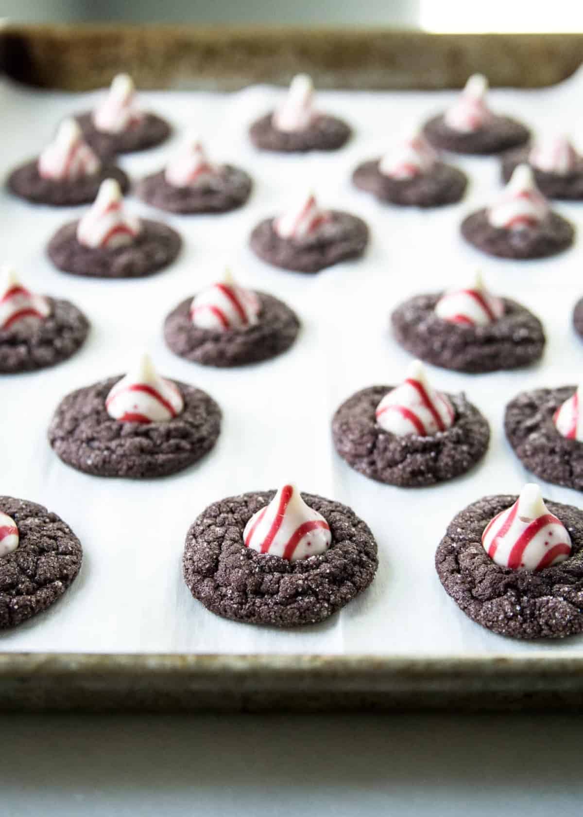 Chocolate Peppermint Blossoms