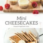Mini Cheesecakes | Inquiring Chef